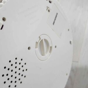 Disney | Other | Disney Tangled Singing Piggy Bank | Poshmark